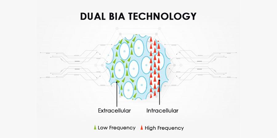 What Is Bioelectrical Impedance Analysis (BIA)? – ActiveX